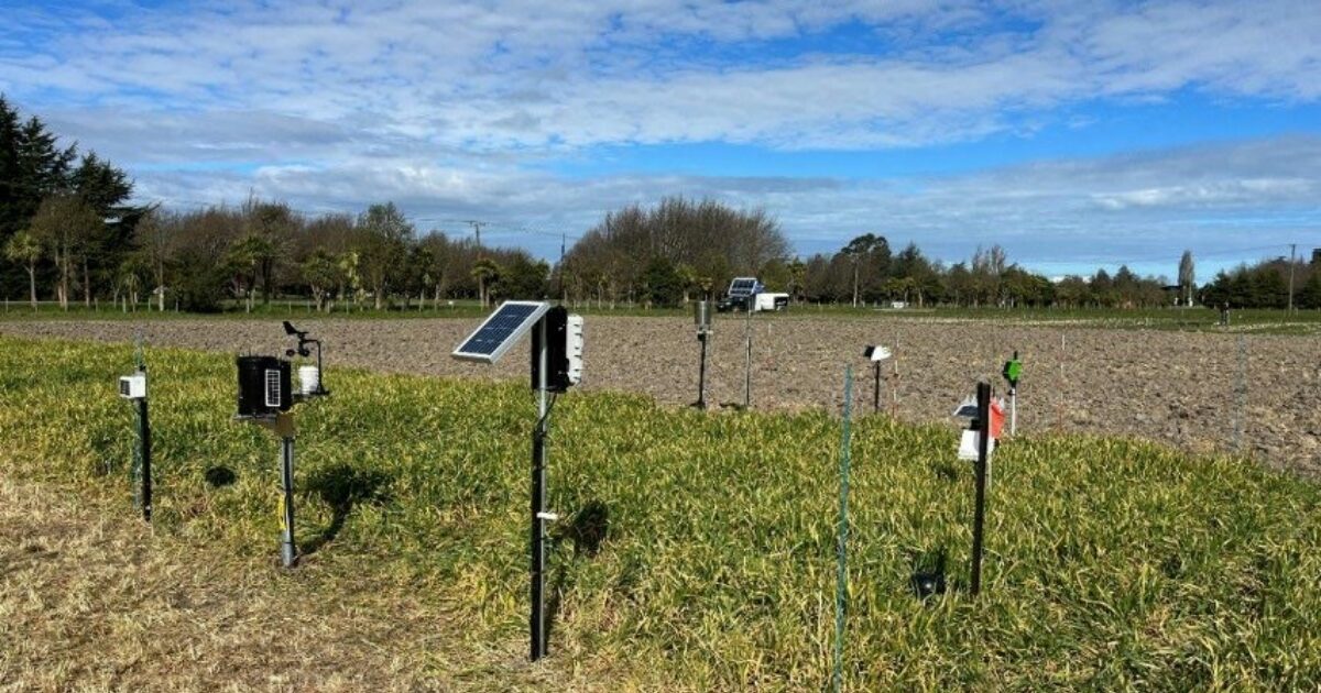 FAR Research | Crop Action: Issue 13, 2025