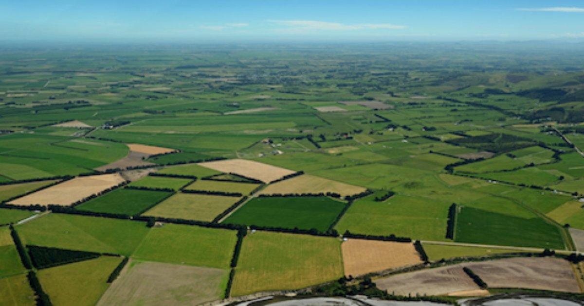 FAR Research | Crop Action: Issue 13 2023