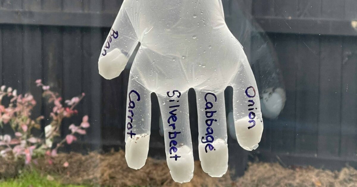 FAR Research | Garden in a glove