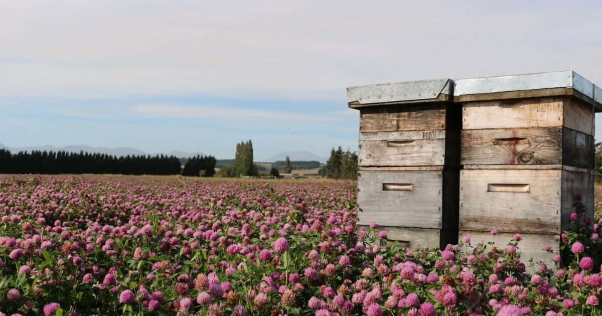 FAR Research | Arable Photo Competition! (2022-23)